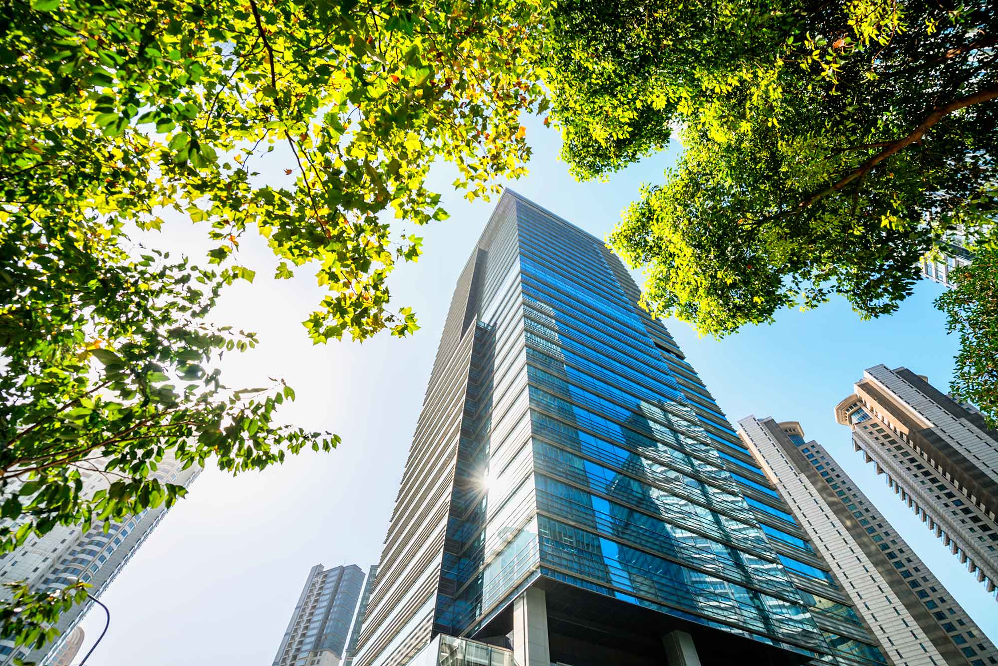 Building a Sustainable Enterprise Architecture Framework - Bizcon